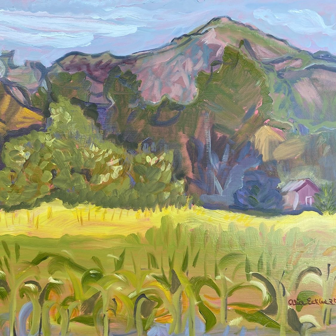 Fine Art - Vermont Crafts Council