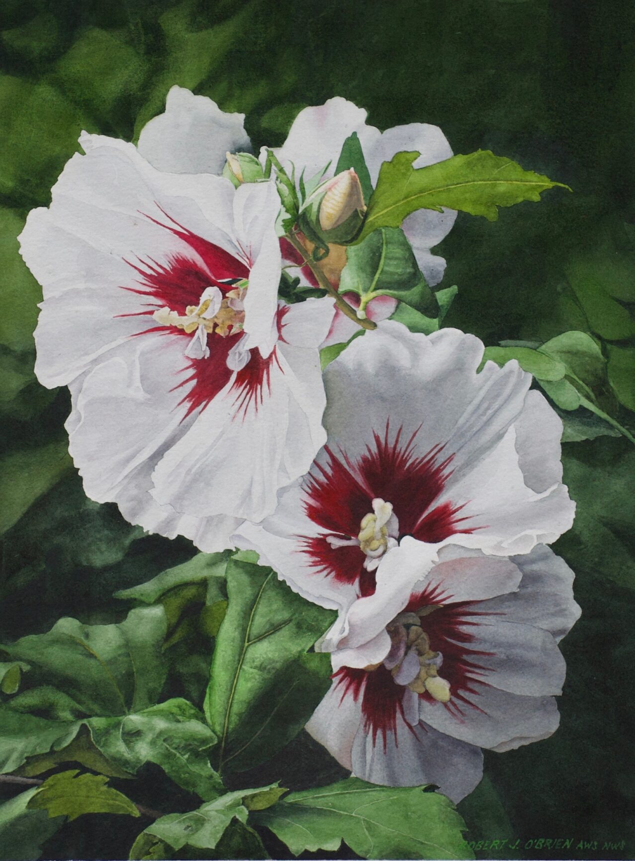 Robert O’Brien Watercolors - Vermont Crafts Council